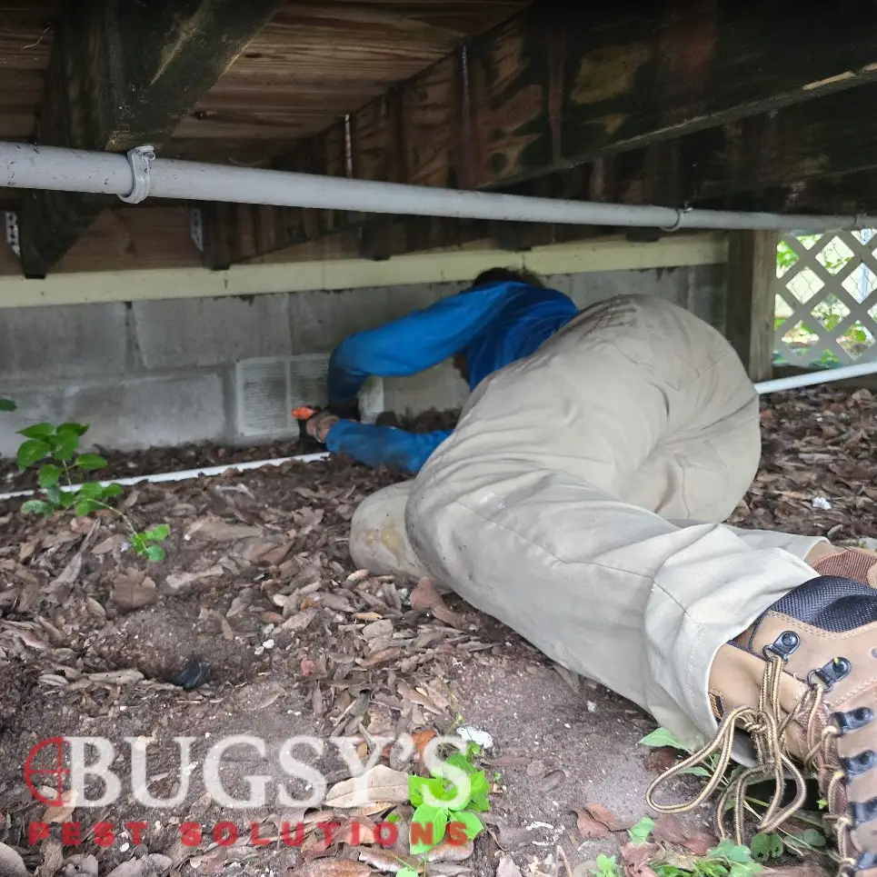 Bugsy's: Seal Entry Points to Stop Pests in Florida (2025)